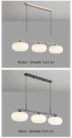 China Bedroom Living Room Kitchen Home Decor Light Modern Led Chandelier Pendant Lamp (WH-MI-482) for sale