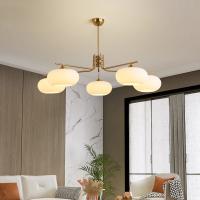 China Bedroom Living Room Kitchen Home Decor Light Modern Led Chandelier Pendant Lamp (WH-MI-482) for sale