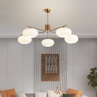 China Bedroom Living Room Kitchen Home Decor Light Modern Led Chandelier Pendant Lamp (WH-MI-482) for sale