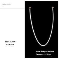 China LED Postmodern Golden White Designer Chandelier Lighting Flexible Linear Curve Chandelier(WH-MI-485) for sale