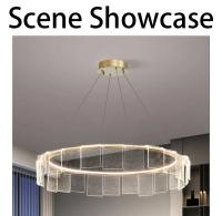 China Modern home decor led lights pendant light lamps for living room led Chandelier (WH-MI-496) for sale