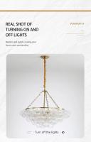 China Italian Design Creative Dining Room Chandelier Glass Ceiling Chandelier  (WH-CY-266) for sale