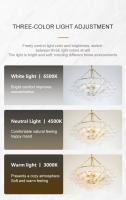 China Italian Design Creative Dining Room Chandelier Glass Ceiling Chandelier  (WH-CY-266) for sale