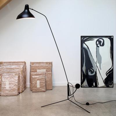 China Modern Black Metal Floor Lamp Living Room Reading Bedroom Mantis Floor Lamp (WH-MFL-158) for sale