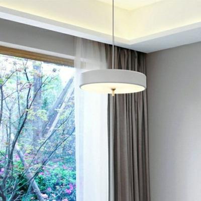 China Nordic color pendant light Fashion Simple Modern Lighting Metal Lamp Shade Suspension  Revolve Pendant Lamp(WH-AP-112) for sale
