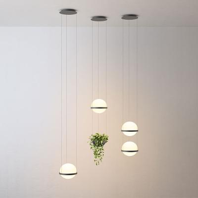 China Led plant pendant light glass ball lamp creative Art pendant lamp country restaurant cafe bar suspension Lamp(WH-AP-125) for sale