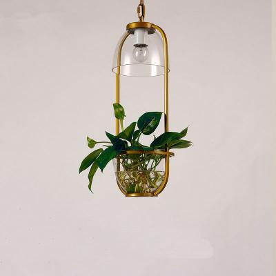 China Pastoral Pendant Light American Style Restaurant Creative Cafe hotel decor Glass Pendant Light Hanging lamp(WH-AP-194) for sale