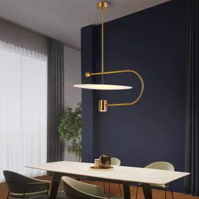 China Creative large pendant light Special Loft Led suspension metal ​Studio Decoration Lamp Dining Room Pedant Lamp(WH-AP-223 for sale
