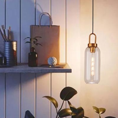 China Modern LED Restaurant American Bedside Lamp industrial Pendant Light Luxury bar Glass Pendant Light(WH-AP-262) for sale