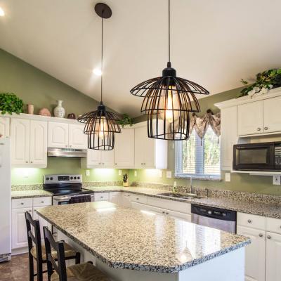 China Retro Loft Pendant Lamps Indoor E27 Metal Guard Restaurant Lamp Decoration Iron Pendant Lights(WH-VP-90) for sale