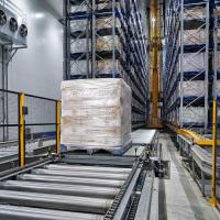 China Infeed Outfeed Industrial Storage Racking Systems Cold Chain Logistics Storage System for sale