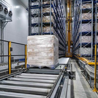 China Infeed Outfeed Industrial Storage Racking Systems Cold Chain Logistics Storage System for sale