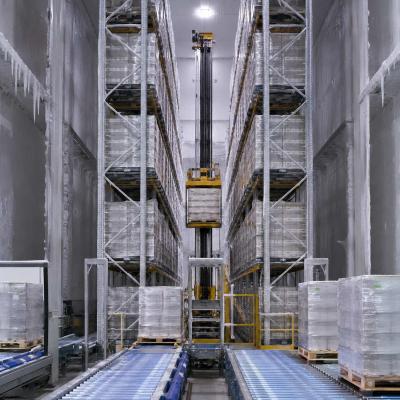 China High Bay Cold Storage Racking System 24m Pallet Stacker Crane 1000kg Shelving for sale