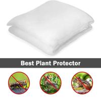 China Agriculture HDPE Plastic Anti Insect Mesh Insect Proof Net for Cover Fruit Tree Protection Mesh Bag Effective Pest Control for sale