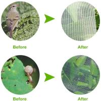 China Agriculture HDPE Plastic Anti Insect Mesh Insect Proof Net for Cover Fruit Tree Protection Mesh Bag Effective Pest Control for sale