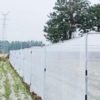 China HDPE Anti Insect Screen Greenhouse Agricultural Protect Insect Proof Mesh Fine Mesh Net Sustainable Plastic Type HDPE for sale