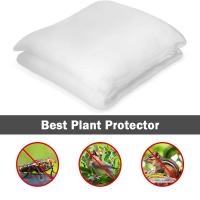 China Protect Plant Fruits Cover Netting with Drawstring HDPE Plastic Type Folding Insect Bird Barrier Netting Mesh for sale
