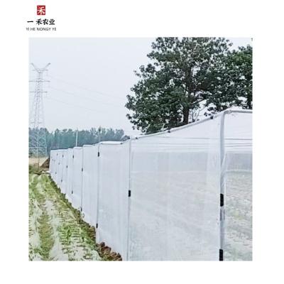 China Greenhouse Net Agriculture Polyethylene Insect Mesh for Vegetable Gardens HDPE Folding for sale