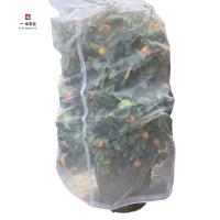 China HDPE Plant Insect Net for Gardening Orchard Vegetable Flower Fruit Drawstring Anti Bird Net Insect Cover for sale