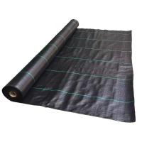 China Garden Weedmat Agriculture Ground Cover Landscape Fabric Telo Pacciamatura Plastic Mulch Film Agricultural for sale