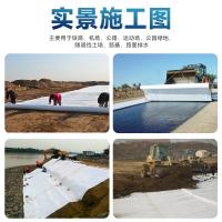 China HDPE Non Woven Geotextile for Road and Railway Construction White Black Gray Customizable Colors for sale
