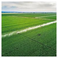 China 168 cm Diameter Pivot Irrigation System for Optimal Water Distribution on Farms for sale