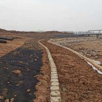 China Slope Grass Protection Ecological Soil And Water Protection Blankets for sale