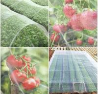 China HDPE Plastic Type Folding Garden Netting Insect Net 20/30/40/50 Virgin for sale