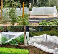 China HDPE Anti-UV Insect Netting  Ideal Solution For Nursery Fruit Tree Protection for sale
