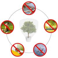 China 2.5M*10M Greenhouse Insect Barrier Bird Net Solid Vegetable Gardens Insect Netting for Farm Protection for sale
