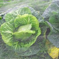 China TRAPS Plastic Garden Netting for Plants Pest Barrier Fly Bug Bird Insect-Proof Screens Protect Fruits Flowers Vegetables for sale