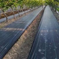 China Protecting PP Woven Membrane PE Ground Cover Mesh Weed Mat Roll Anti Grass Weed  Mulch Film for sale