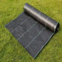 China Protecting PP Woven Membrane PE Ground Cover Mesh Weed Mat Roll Anti Grass Weed  Mulch Film for sale