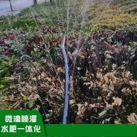 China 20mm-75mm Rain Hose Garden Farm Watering Rain Tape Micro Spray Hose Durable Plastic Material for Garden Watering for sale