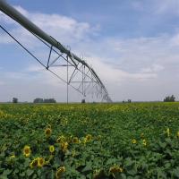 China 2500 KG Metal Farmland Machinery Equipment Center Pivot Irrigation System Agriculture Lateral Linear Move Side Roll for sale