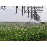 China Agriculture U Joint Drive Line Coupler for Center Pivot Irrigation Machine Parts in Building Material Shops for sale