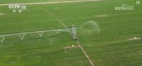 China Sturdy Farms Center Pivot Irrigation System and Eco-Friendly Choice for Agricultural Watering Diameter 168 cm for sale