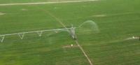 China Center Pivot Farm Irrigation System Remote Monitoring Metal Super Pivot Agriculture Irrigation Solution with Tower for sale