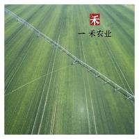 China Farmland Center Pivot Sprinkler with Large Automatic Irrigation System Watering Machine and Metal Gear Motor for sale