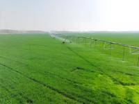 China 2000 KG Farmland Machinery Equipment Pump-Engine-Gear Linear Move Side Roll Irrigation System for Customer Requirements for sale