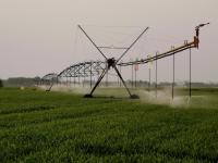 China 30 inch Diameter Water Saving Center Pivot Irrigation Sprinkler Equipment with Engine Motor and 230 KG Weight for sale