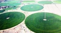 China Precision-Crafted Home Center Pivot 230 KG Capacity Engineered for Durability and Adaptability Uniform Watering on Vast Lands for sale