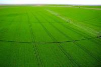 China Long-Term Farming Success with Our 30 Inch Diameter Center Pivot System Accurate Water Distribution and Robust Build for sale