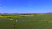 China Optimal Crop Growth With  Center Pivot Solution Sturdy Structure And Remote Monitoring for sale