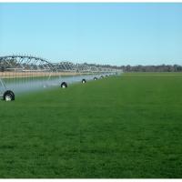 China 2025 Dual Wheel Linear Move Farm Irrigation System for Agriculture and Cotton Planting for sale