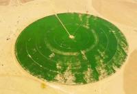 China Watering With Center Pivot Featuring Remote Monitoring And Metal Construction for sale