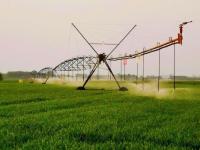 China Sprays for Thriving Farming Ventures Season-Proof Center Pivot Delivering Consistent Performance for sale