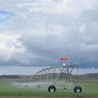 China Diameter 168 cm 2020 Modern Center Pivot Irrigation System from Max Choice Metal Clearance Hot Training Surface Type for sale