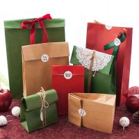 China Chrismas Green 125g Kraft Paper Luxury Gift Bags With Ribbon Handles for sale