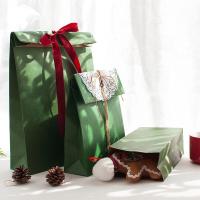 China Chrismas Green 125g Kraft Paper Luxury Gift Bags With Ribbon Handles for sale